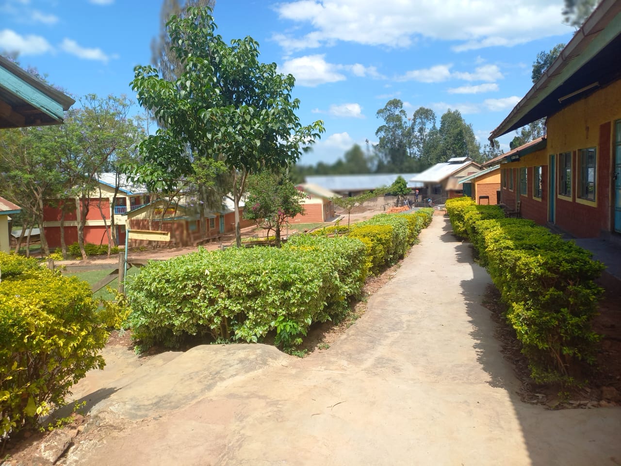 Our programmes | St. George Mixed Secondary School